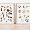 Woodland ABC Cards, Animal Alphabet Cards, Nature Themed Alphabet Cards ...