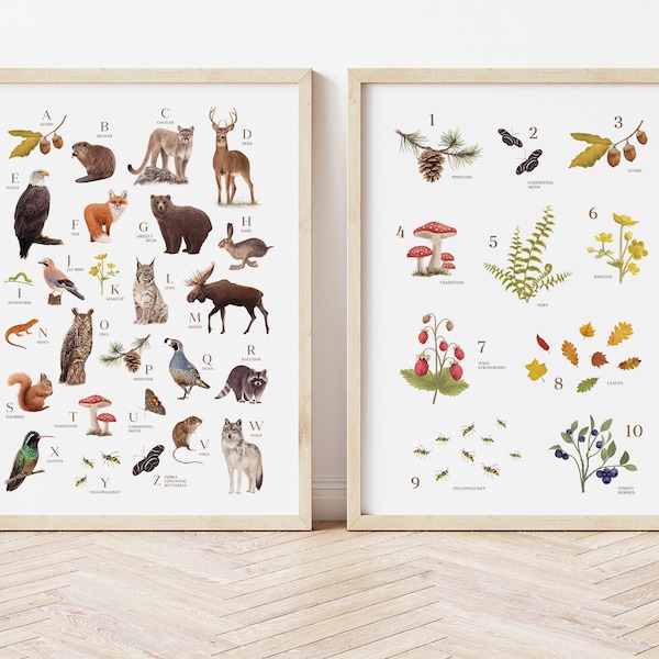 Woodland Alphabet - Etsy