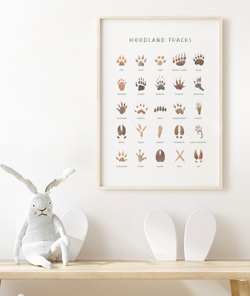 Animal Track Print Woodlands Footprints of the Woodland | Etsy