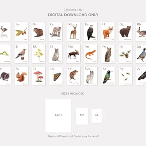Woodland ABC Cards, Animal Alphabet Cards, Nature Themed Alphabet Cards ...