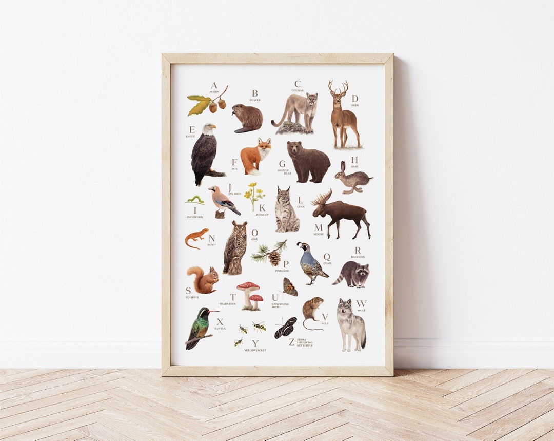 Woodland Alphabet Poster Forest Animal ABC Print Woodland - Etsy