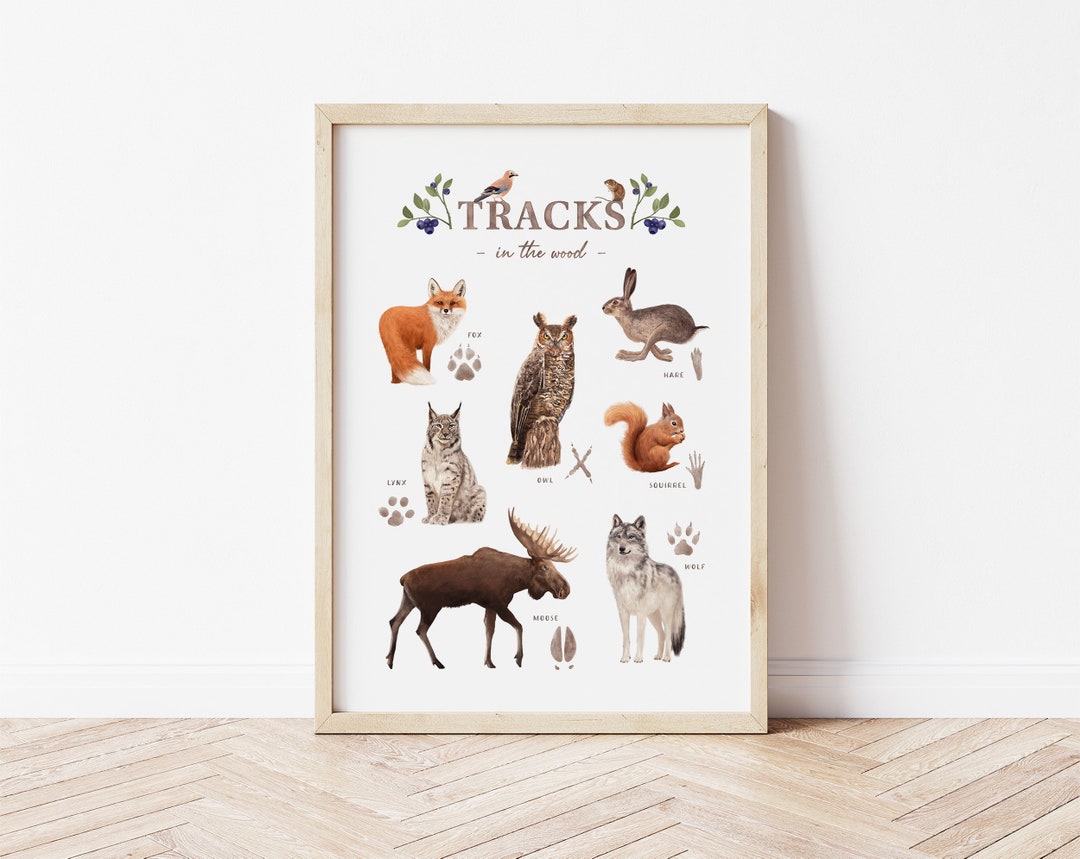 Forest Animals Print, Woodland Animals Poster, Animal Tracks, Animals ...