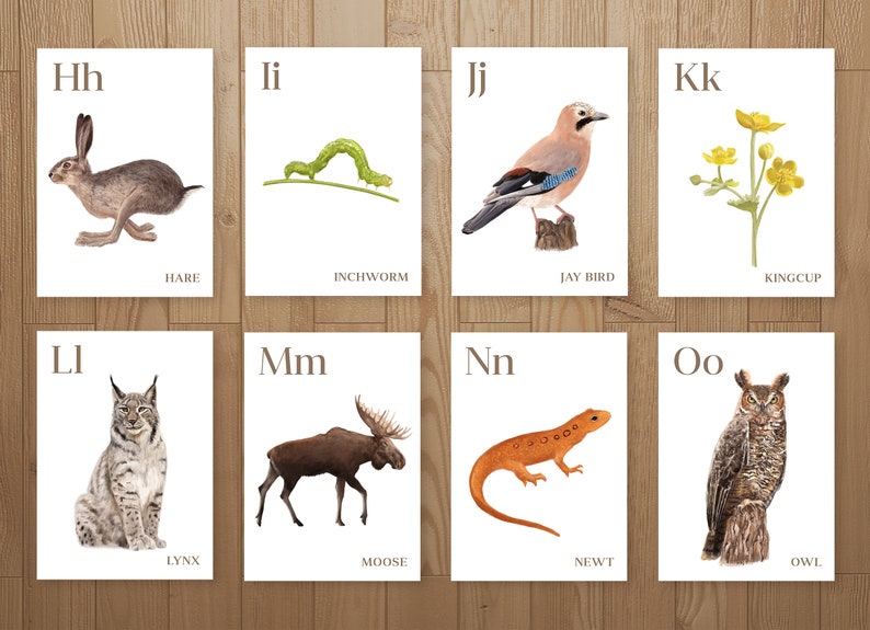 Woodland ABC Cards Animal Alphabet Cards Nature Themed - Etsy