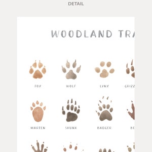 Animal Track Print, Woodlands, Footprints of the Woodland Printable ...