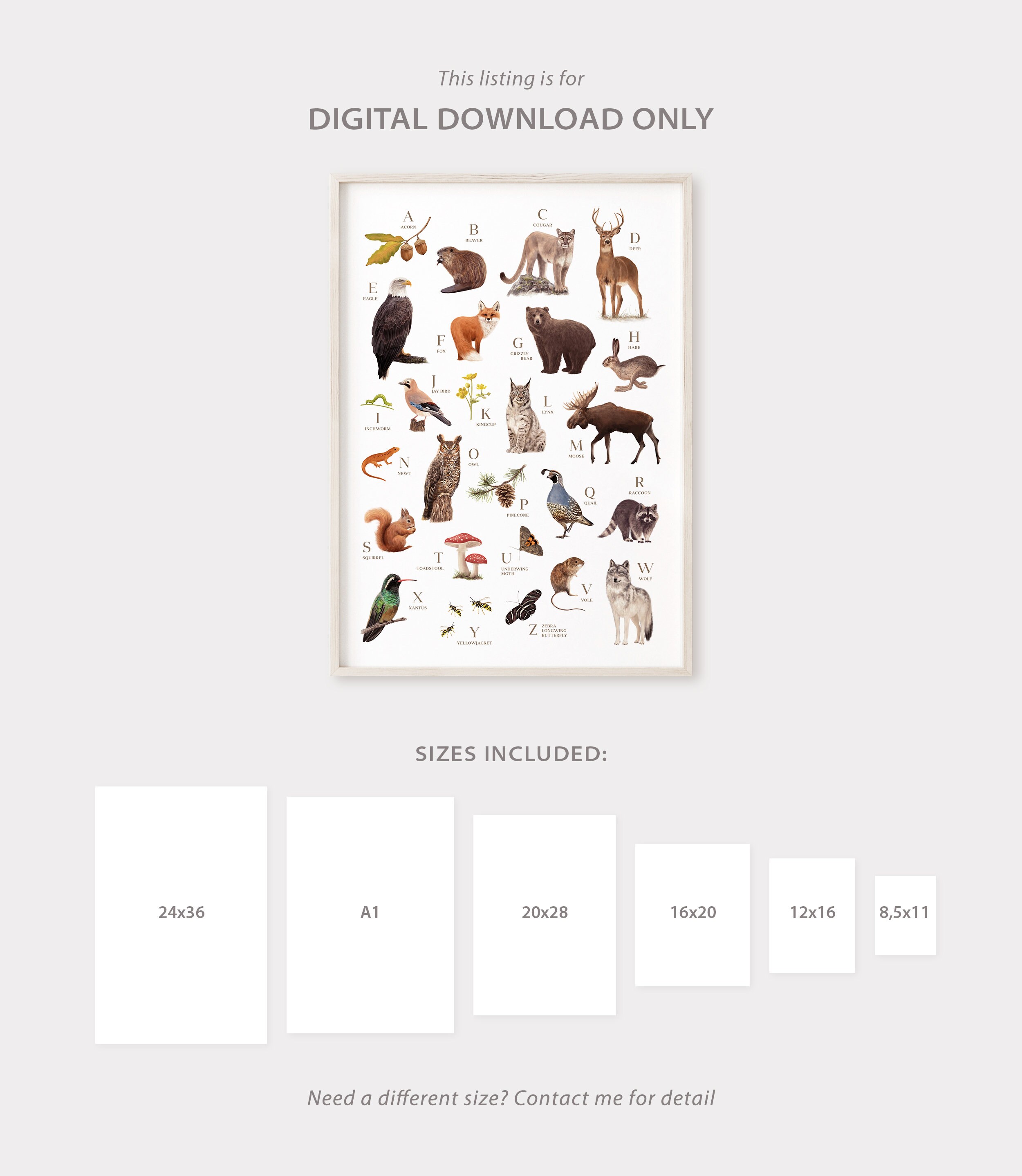 Woodland Alphabet Poster Forest Animal ABC Print Woodland - Etsy