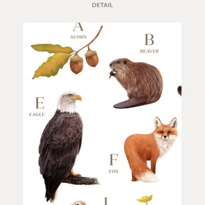 Woodland Alphabet Poster Forest Animal ABC Print Woodland | Etsy