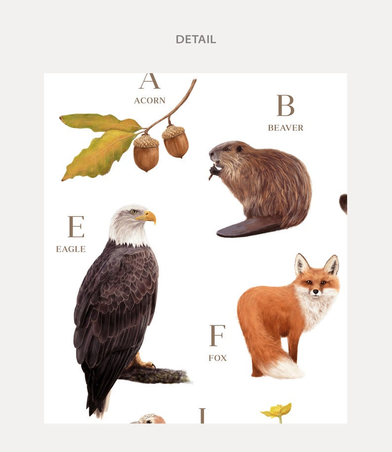 Woodland Alphabet Poster Forest Animal ABC Print Woodland - Etsy