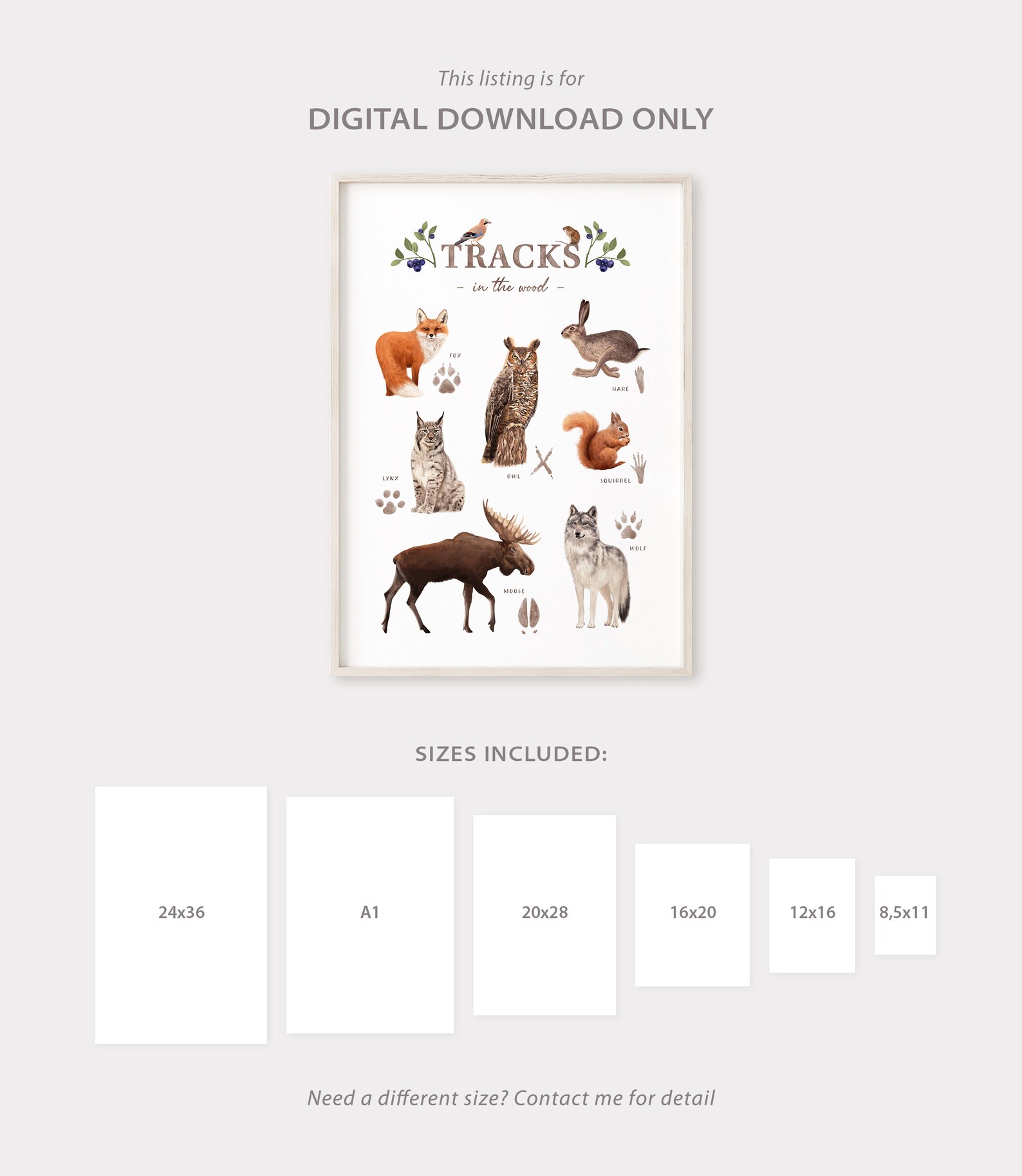 Forest Animals Print Woodland Animals Poster Animal Tracks - Etsy
