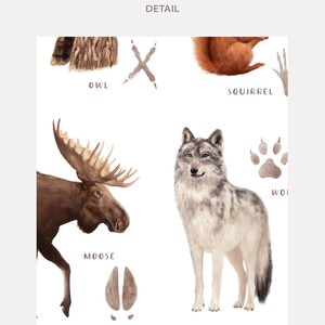 Forest Animals Print, Woodland Animals Poster, Animal Tracks, Animals ...