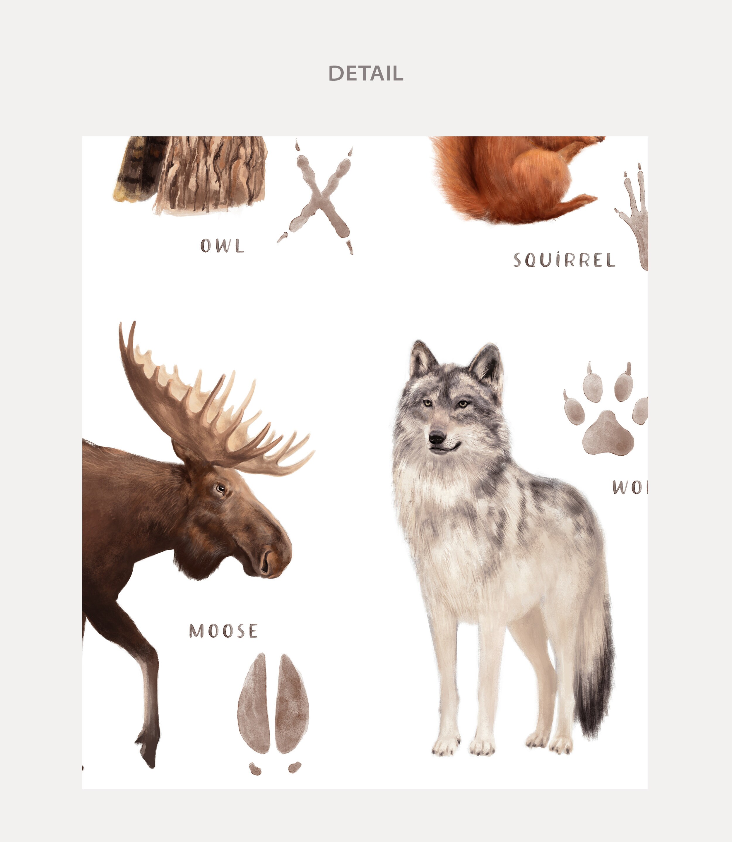 Forest Animals Print Woodland Animals Poster Animal Tracks | Etsy