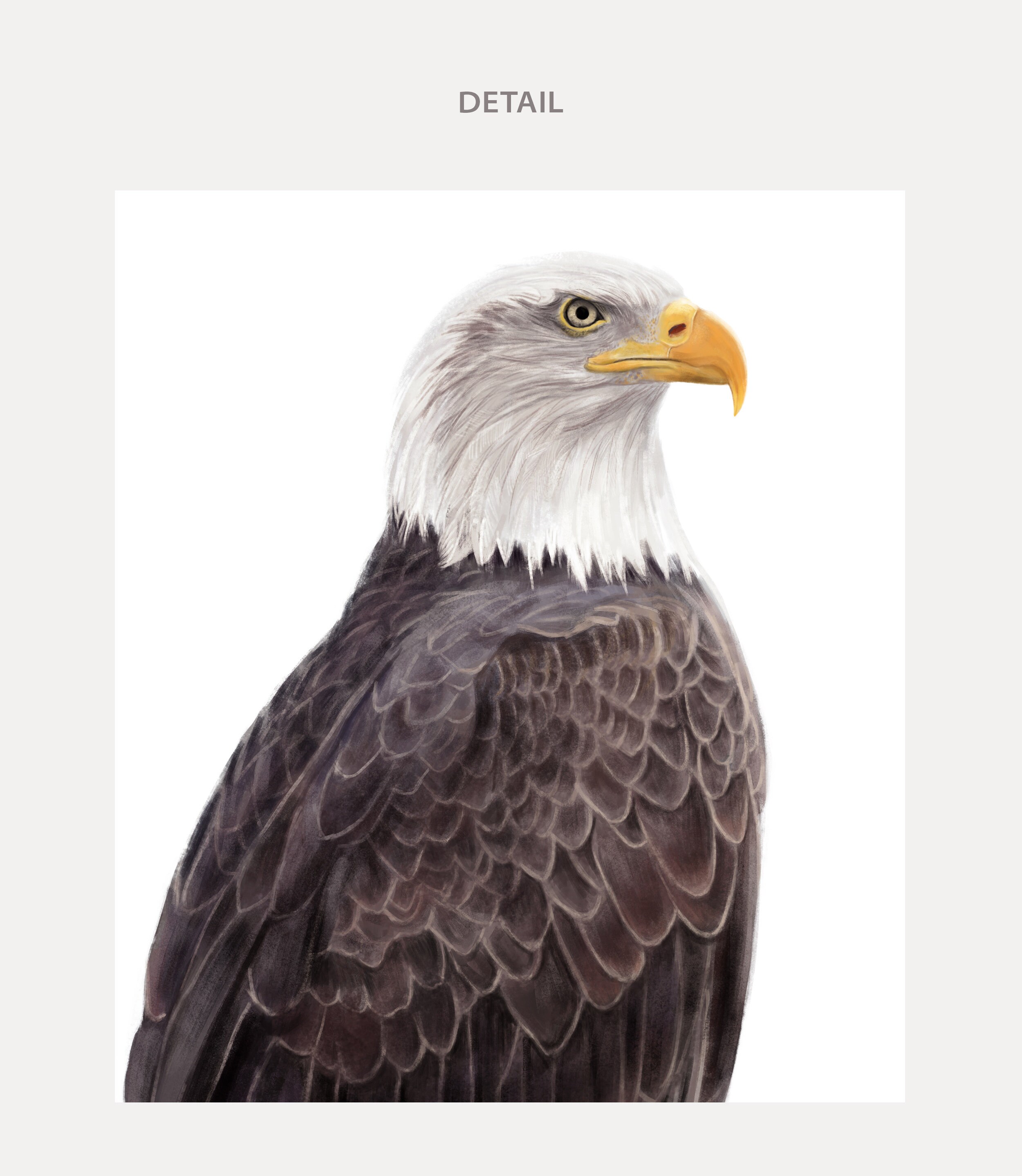 Woodland ABC Cards Animal Alphabet Cards Nature Themed - Etsy Canada