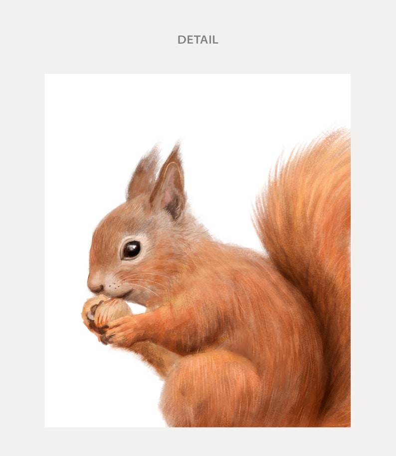 Woodland ABC Cards Animal Alphabet Cards Nature Themed - Etsy