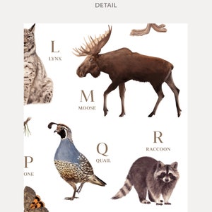 Woodland Alphabet Poster Forest Animal ABC Print Woodland | Etsy