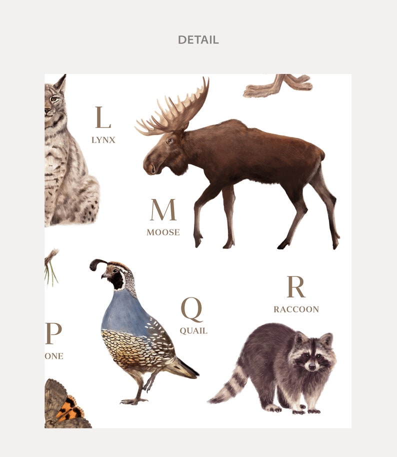 Woodland Alphabet Poster Forest Animal ABC Print Woodland - Etsy