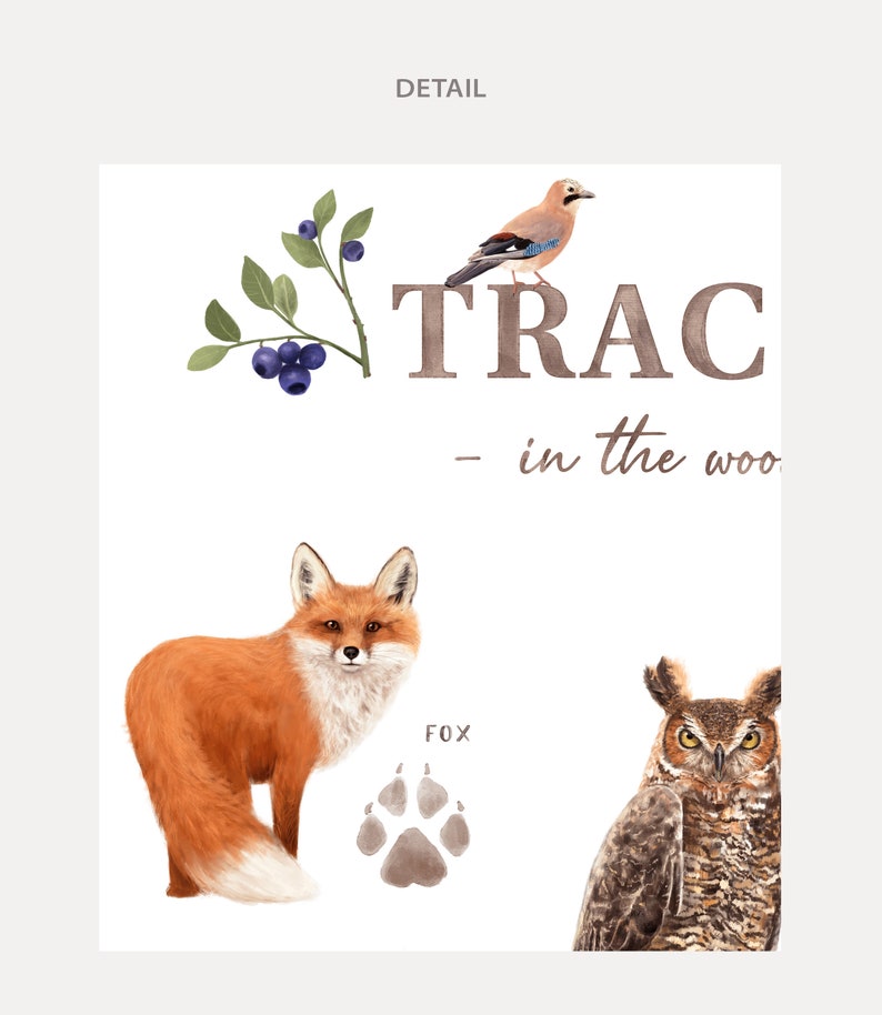 Forest Animals Print Woodland Animals Poster Animal Tracks - Etsy