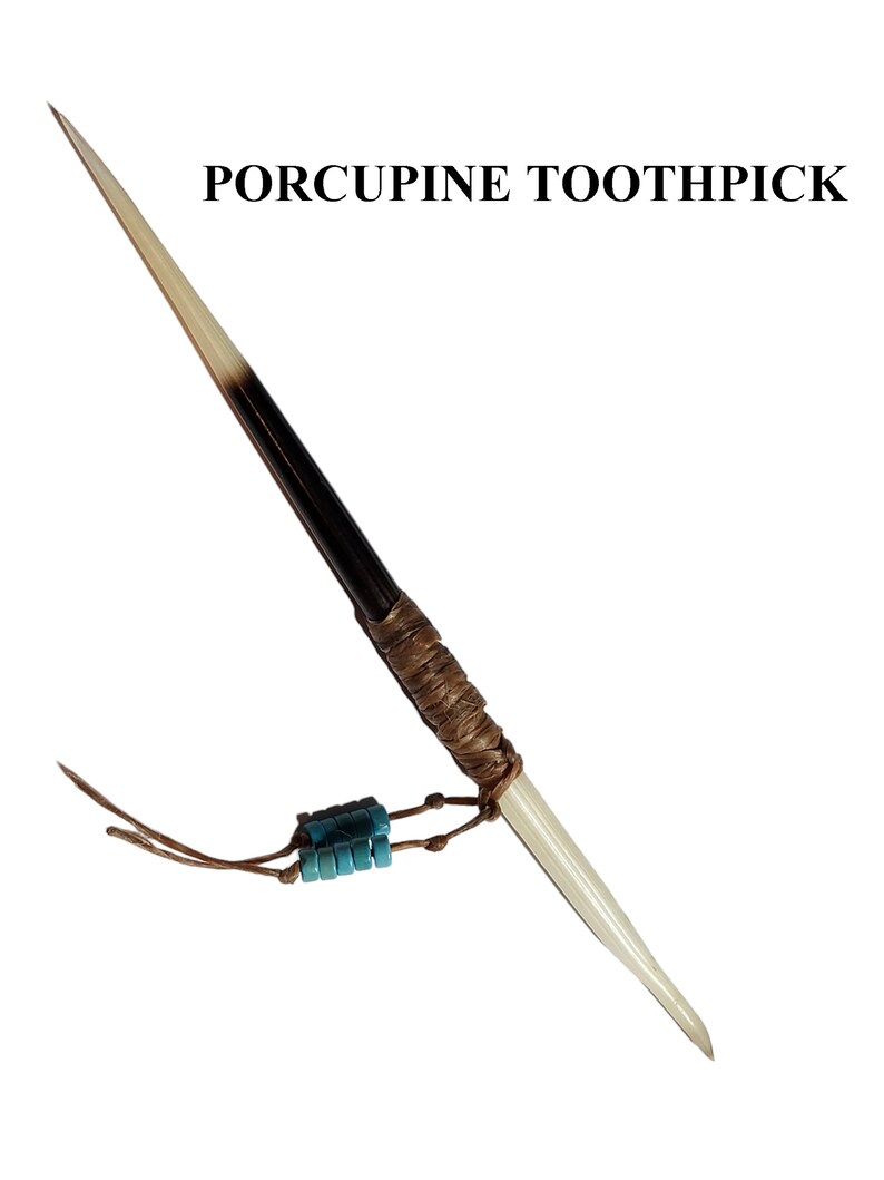 Porcupine Quill Cowboy Toothpick With Sinew and Turquoise Beads - Etsy