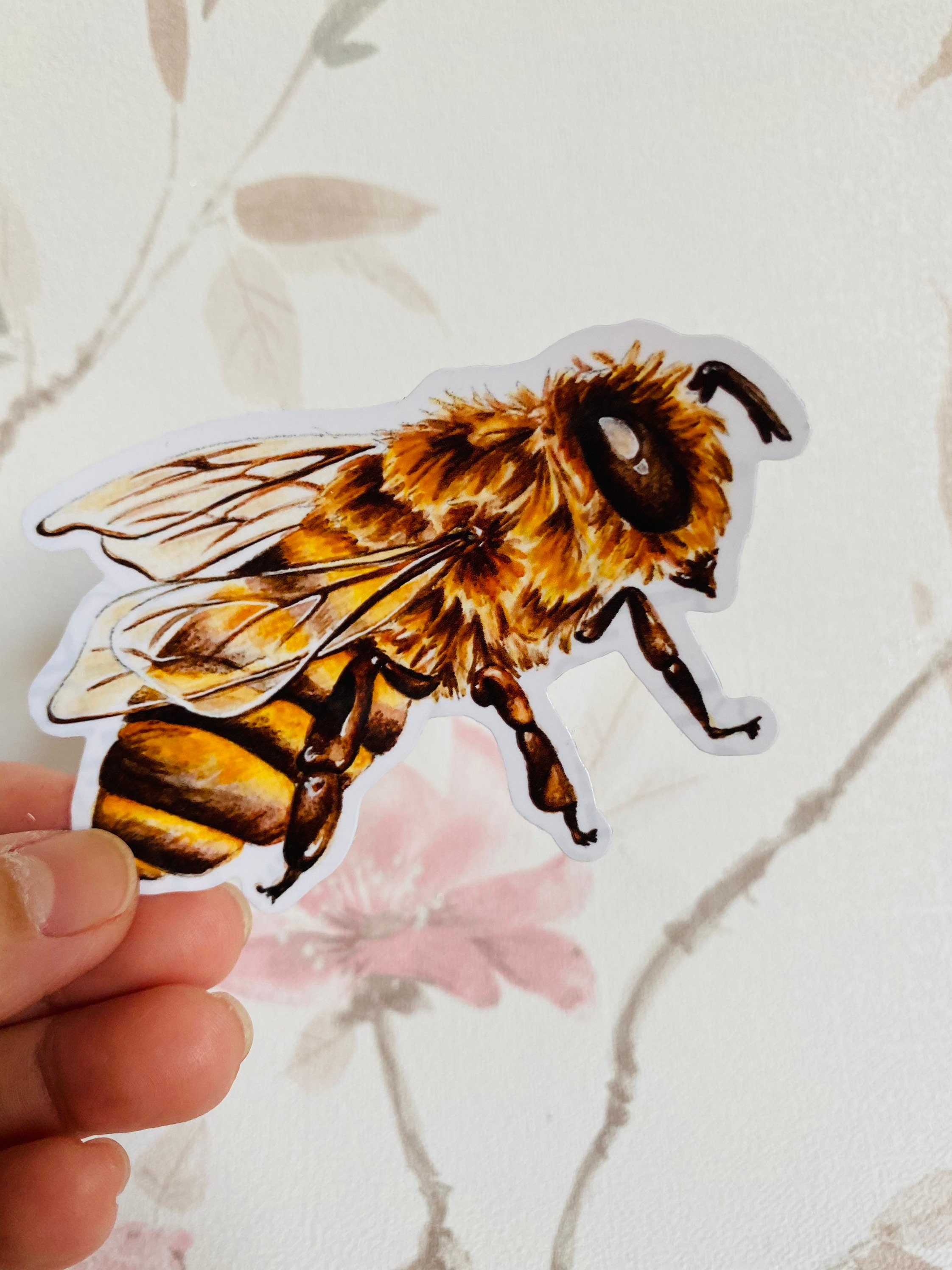 Honey Bee Sticker Set 2 Stickers in a Pack Bee Spring and | Etsy