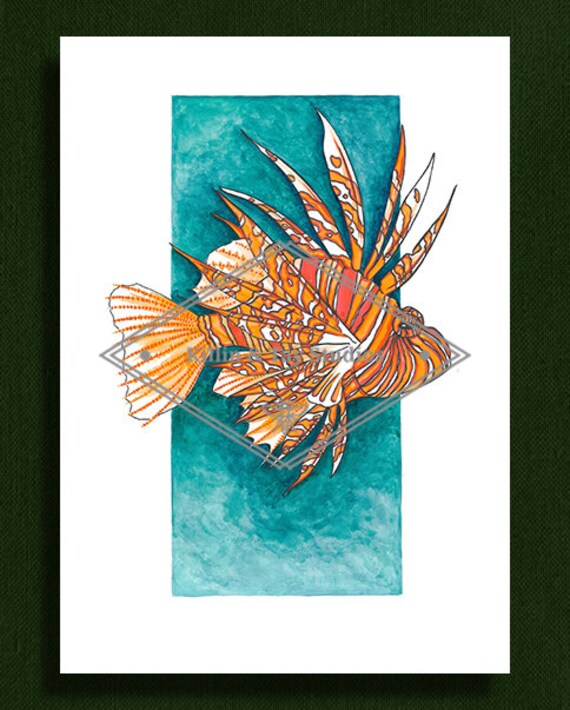 Lion Fish Ink and Watercolour Print - Etsy