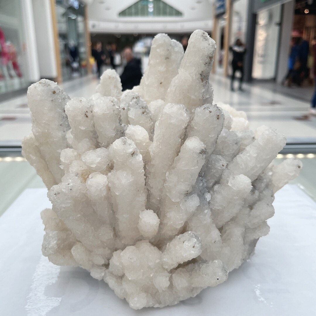 LARGE Crystal Stalacite / Coral Shape - Etsy