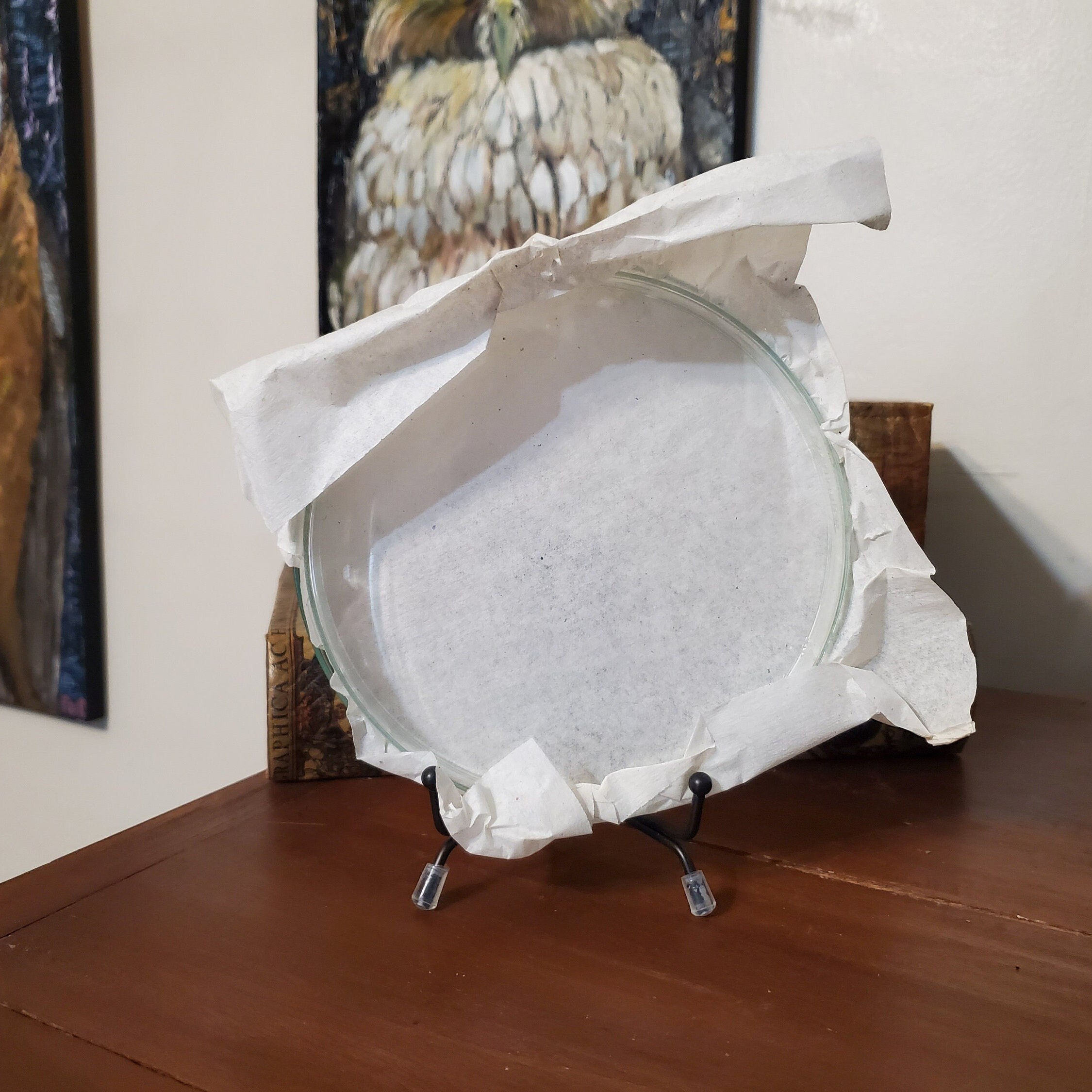 Vintage Petri Dish Mercer Glass Works 150 Mm X 15 Mm New Old Stock ...