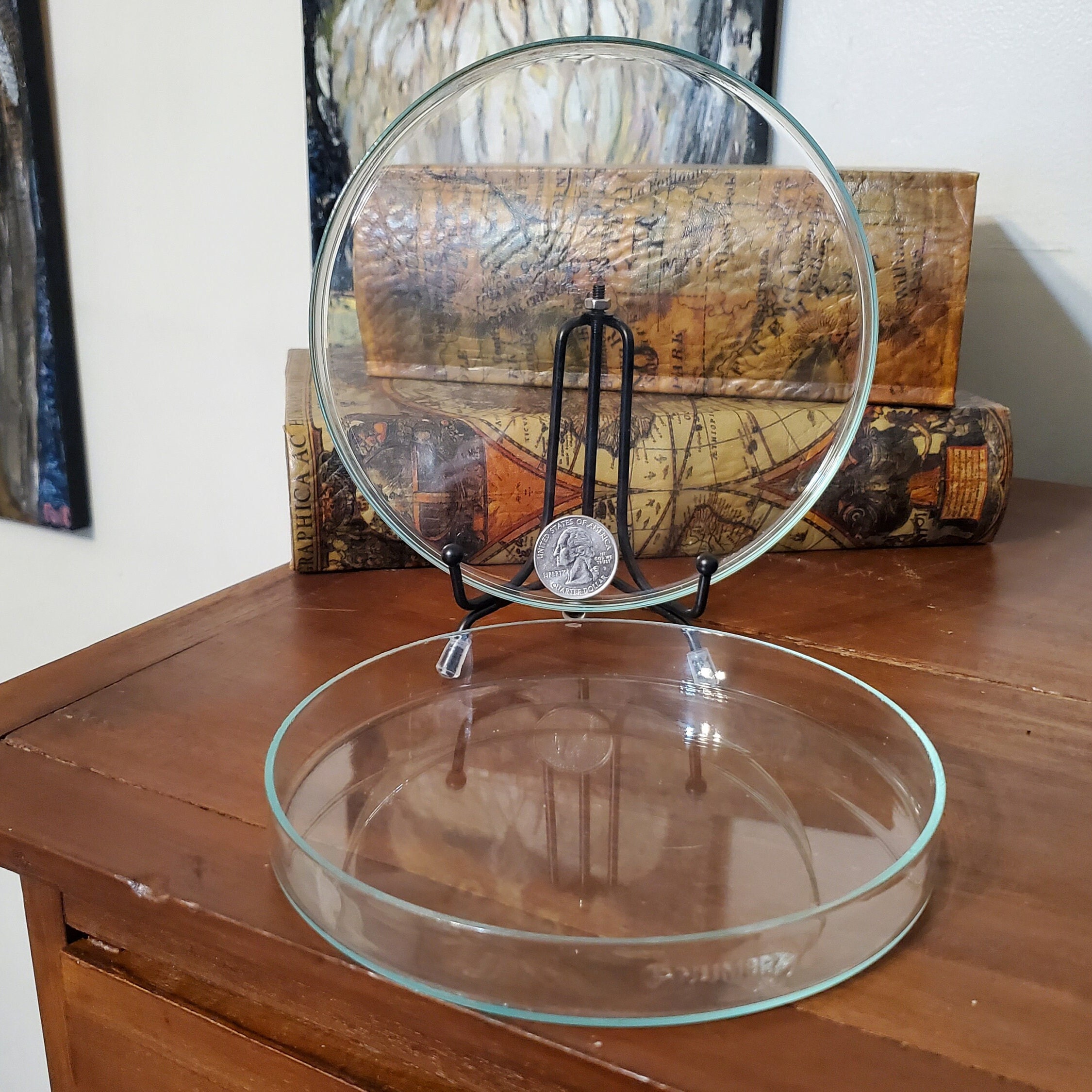 Vintage Petri Dish Mercer Glass Works 150 Mm X 15 Mm New Old Stock ...