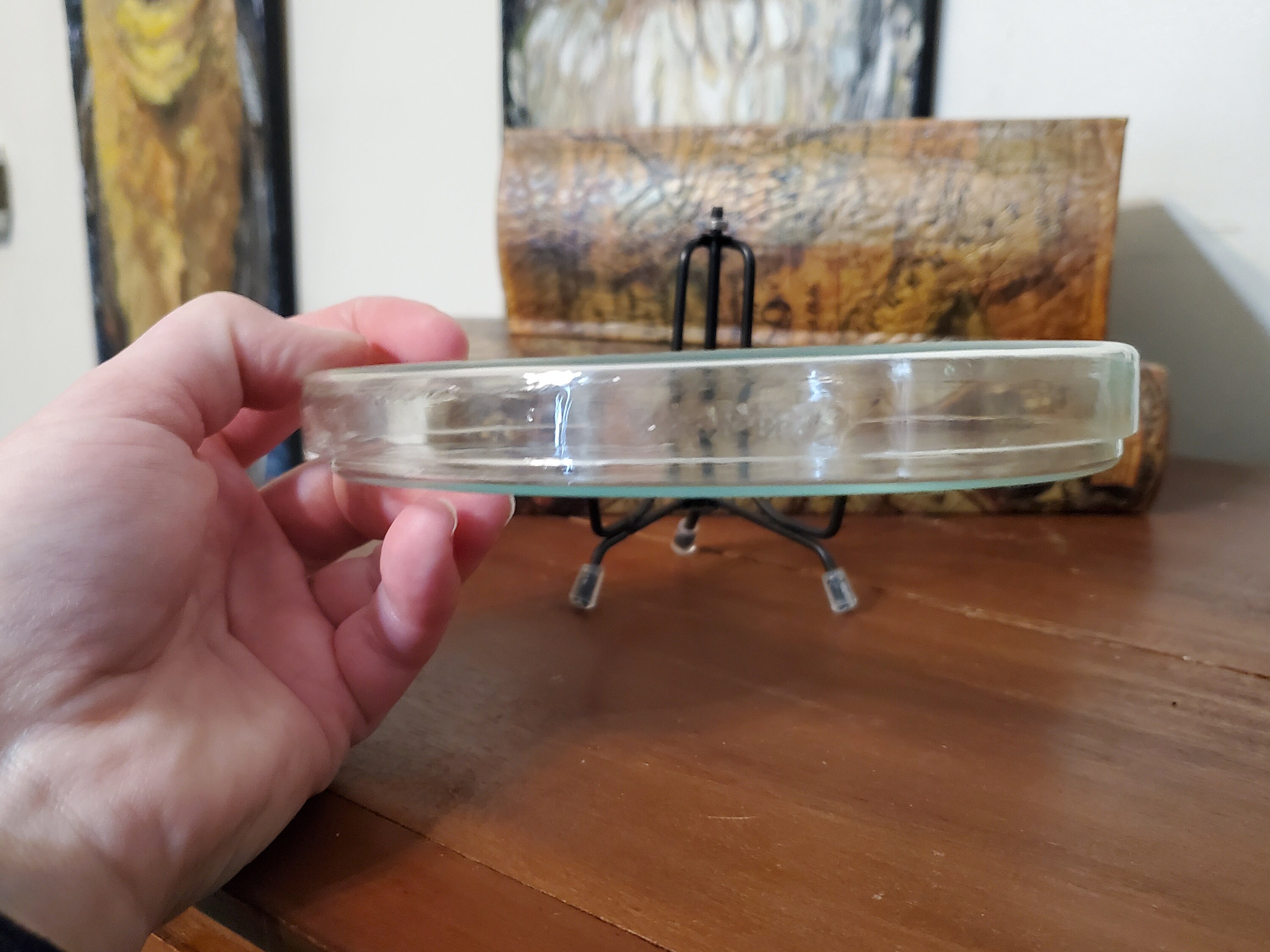 Vintage Petri Dish Mercer Glass Works 150 Mm X 15 Mm New Old Stock ...