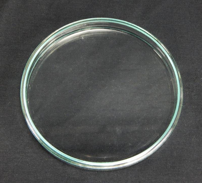 Vintage Petri Dish Mercer Glass Works 150 Mm X 15 Mm New Old Stock ...