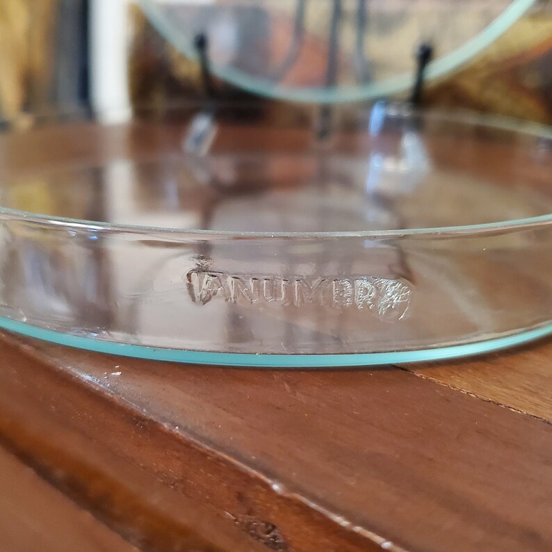 Vintage Petri Dish Mercer Glass Works 150 Mm X 15 Mm New Old Stock ...