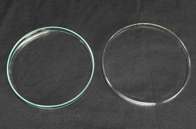 Vintage Petri Dish Mercer Glass Works 150 Mm X 15 Mm New Old Stock ...