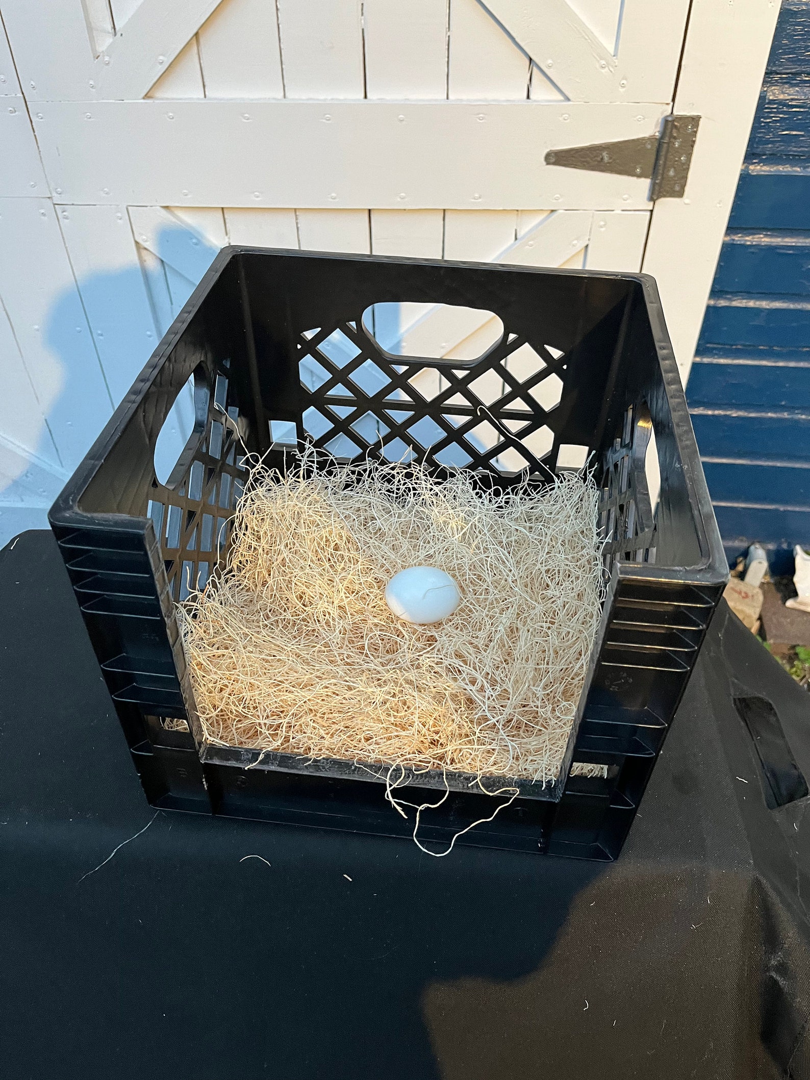 Single Chicken Nesting Box No Lid - Etsy