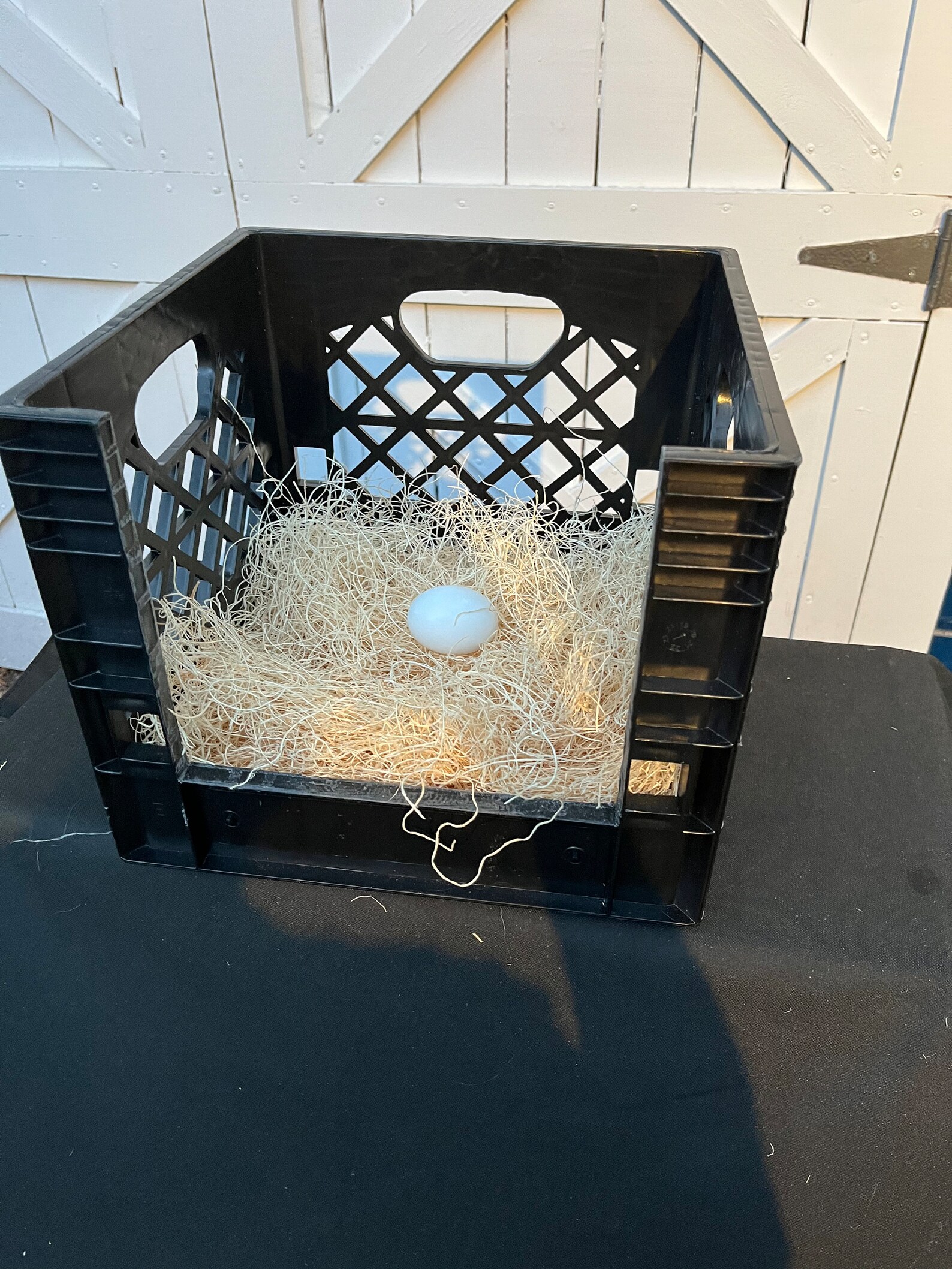 Single Chicken Nesting Box No Lid - Etsy