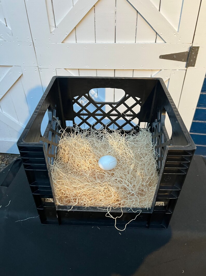 Koops Coop 2 Pack Stackable Chicken Nesting Boxes - Etsy
