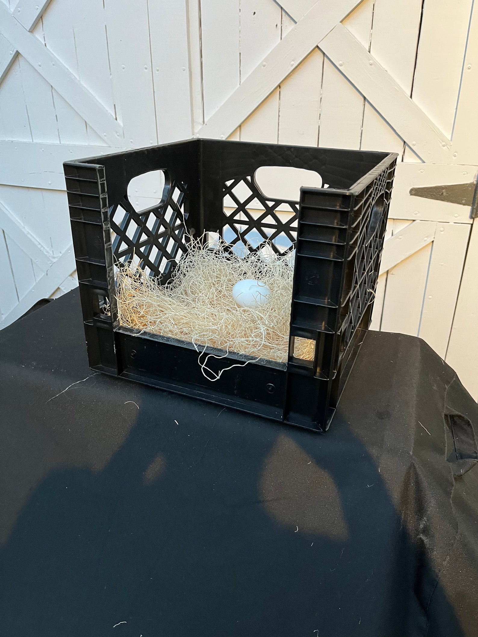 Single Chicken Nesting Box No Lid - Etsy