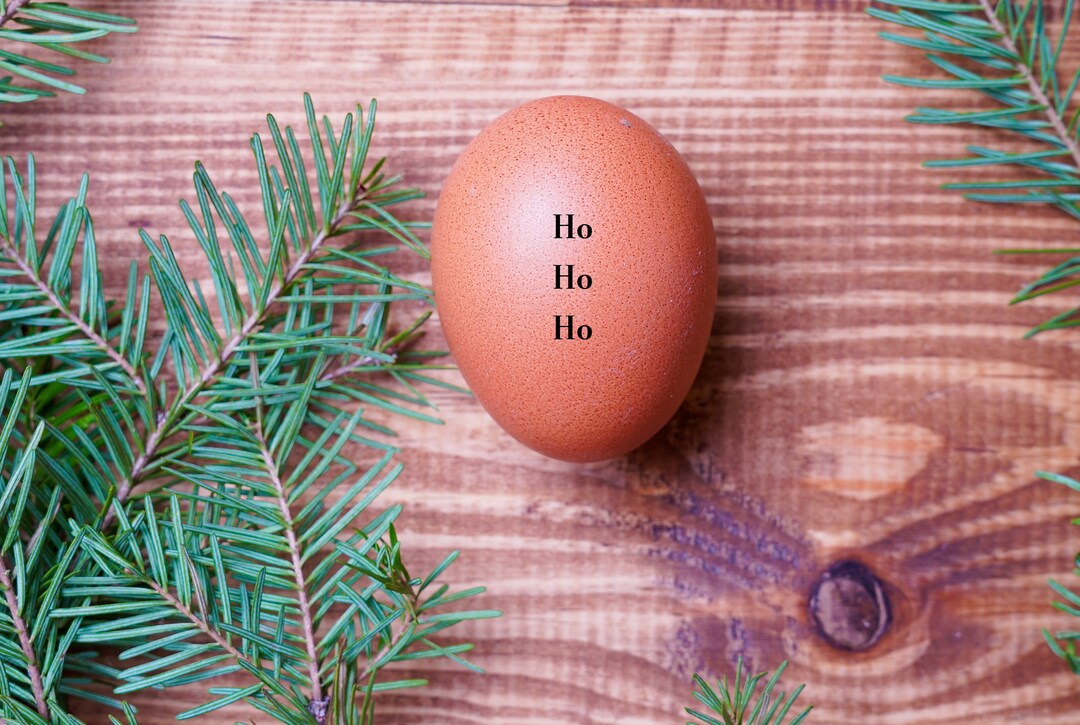 Ho Ho Ho Chicken Egg Stamp Christmas Chicken Gift Chicken - Etsy