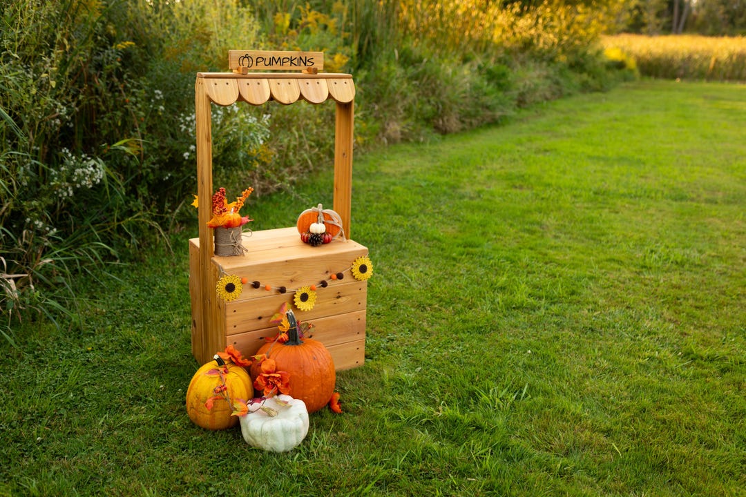 Outdoor Cedar Kids Market Lemonade Stand Kids Theatre Children's ...