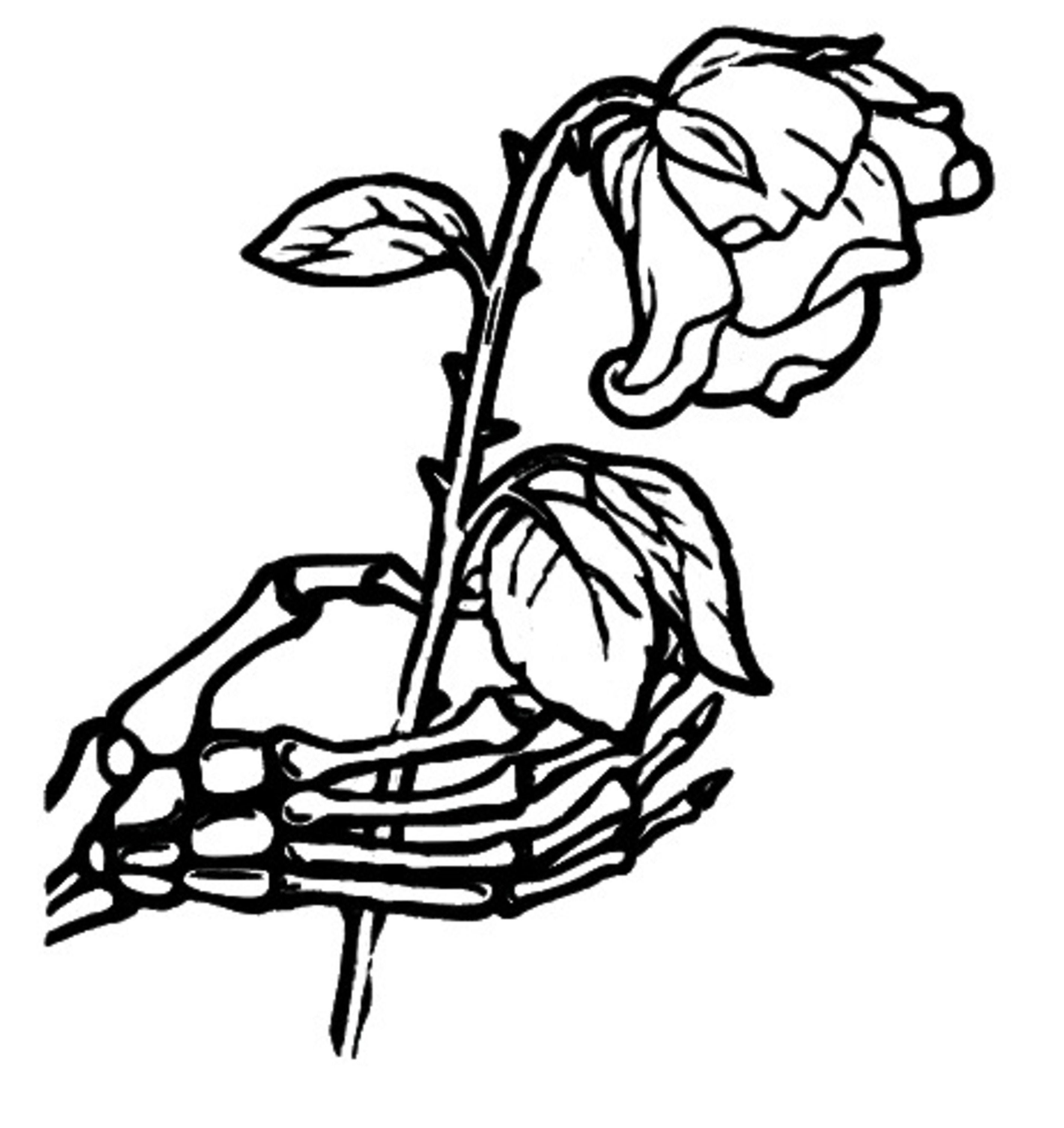 Wilting Rose Drawing