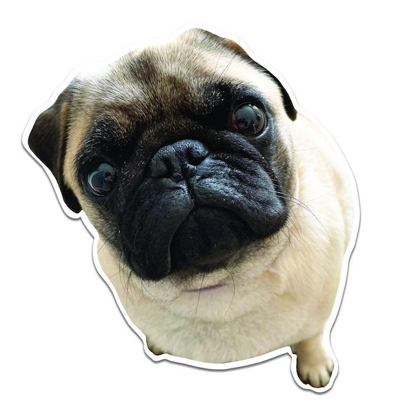 Pug Sticker - Etsy