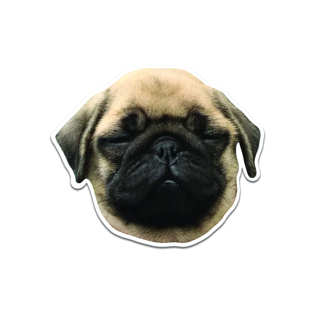 Pug Sticker, Dog Vinyl Sticker, Pug Mom, Pug Gift, Pug Dog Gift, Pug ...