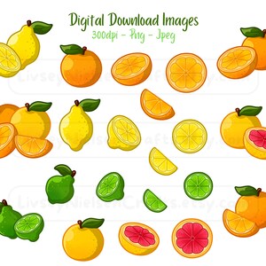 Fresh Fruit - Clip Art Images - Digital Download - Etsy