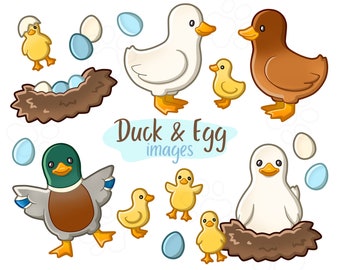 Chicken & Egg - Clip Art Images - Digital Download - Etsy