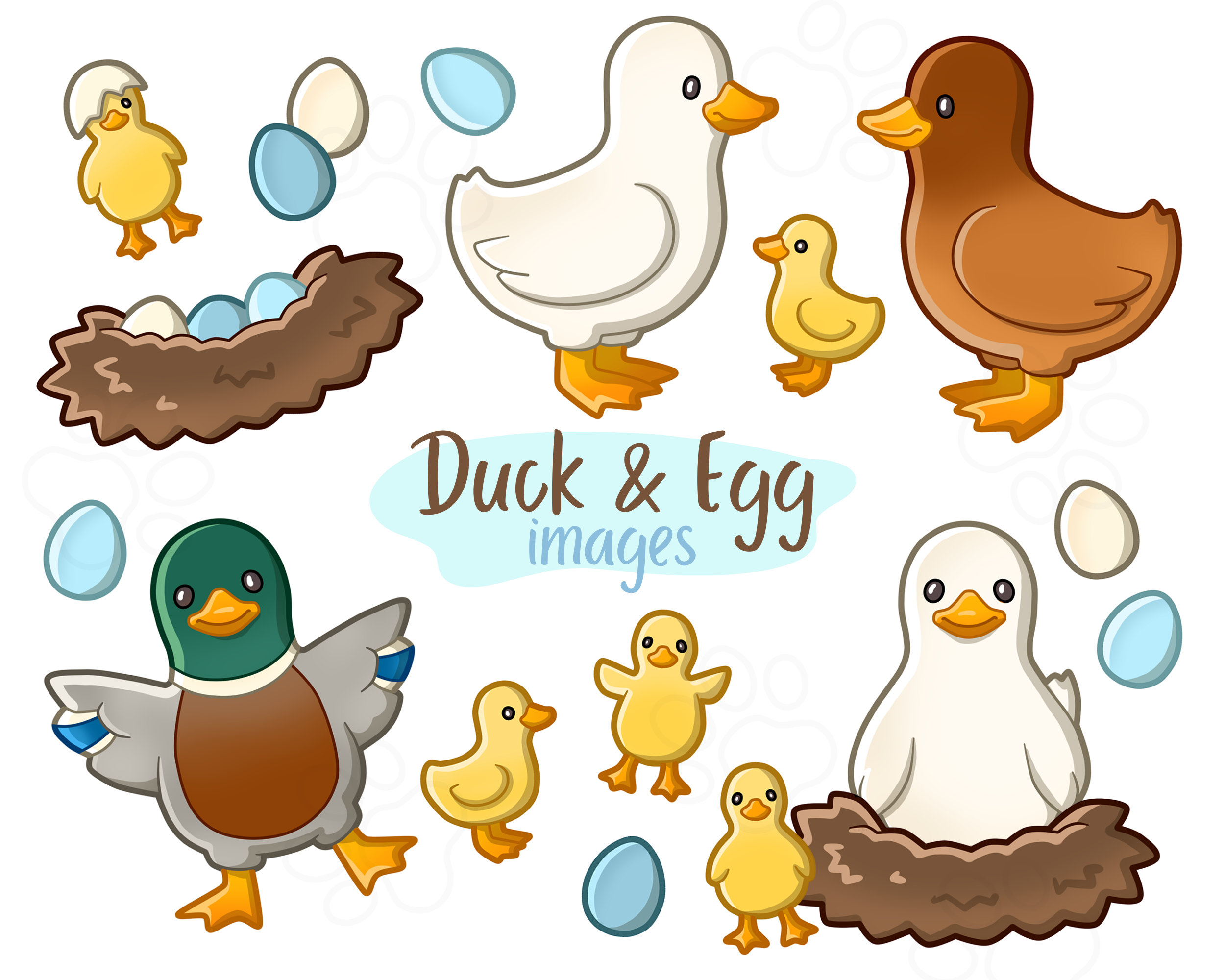 Duck & Egg - Clip Art Images - Digital Download - Etsy