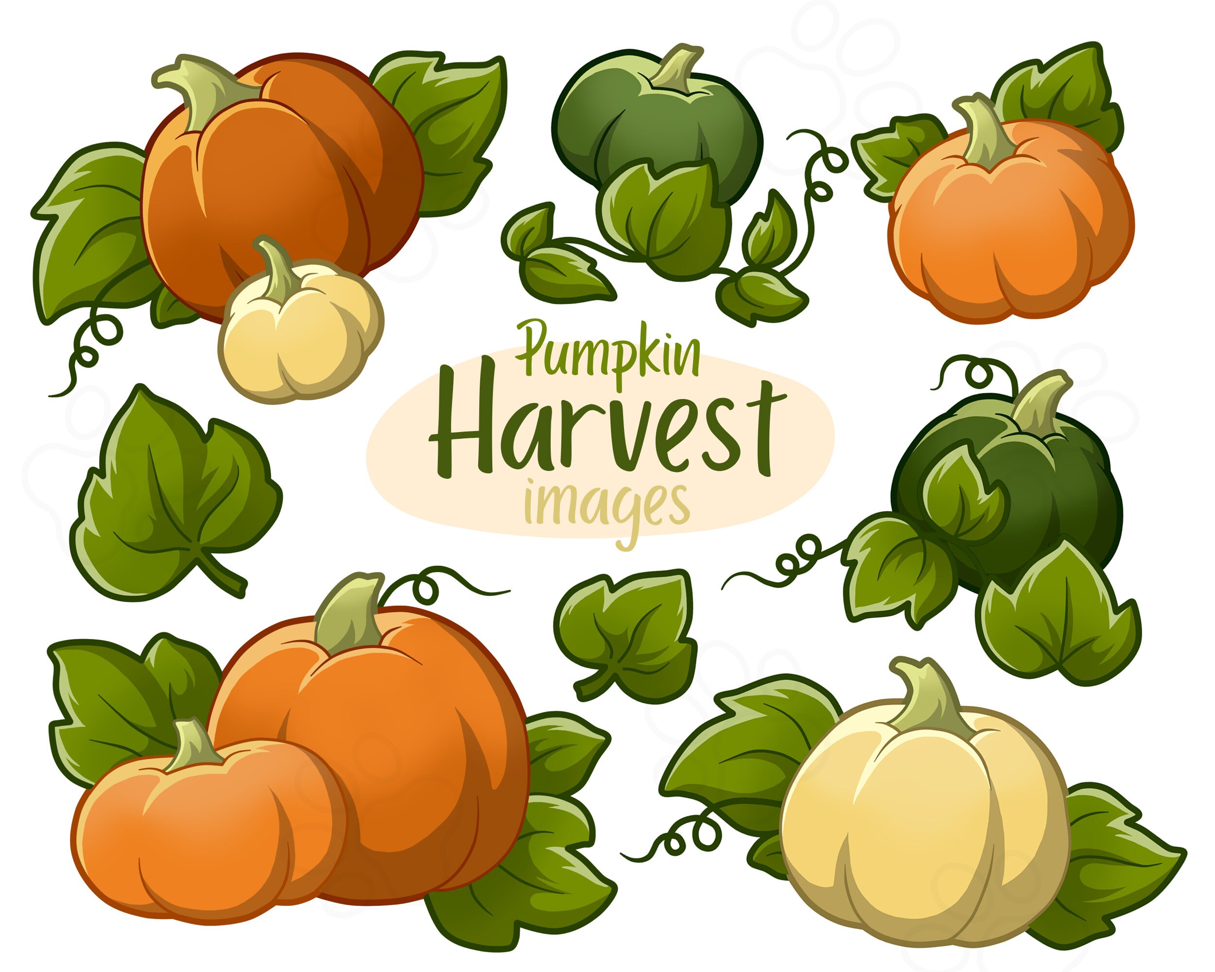 Pumpkin Harvest - Clip Art Images - Digital Download - Etsy