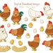 Chicken & Egg - Clip Art Images - Digital Download - Etsy