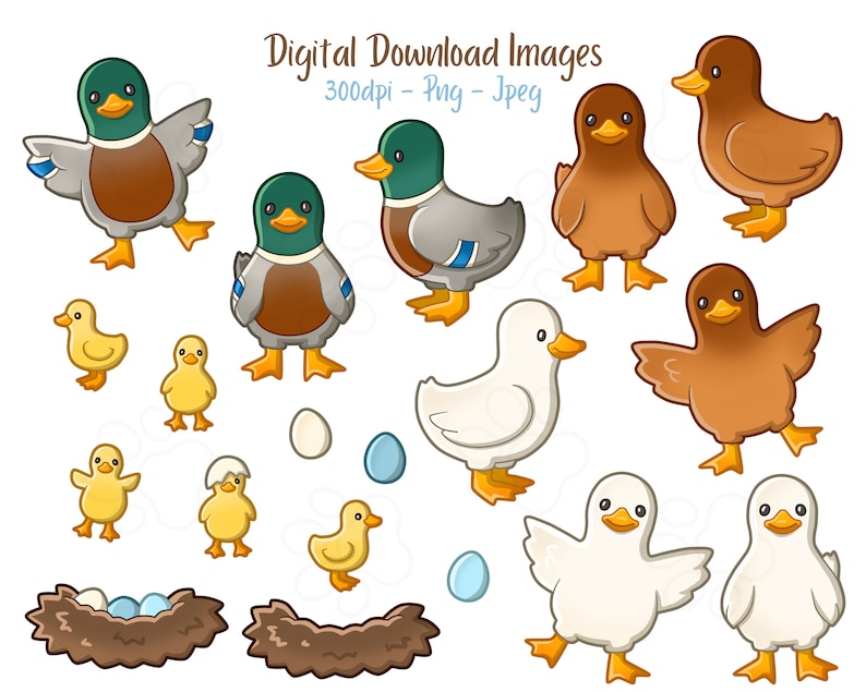 Duck & Egg - Clip Art Images - Digital Download - Etsy UK