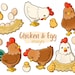 Chicken & Egg Clip Art Images Digital Download - Etsy UK