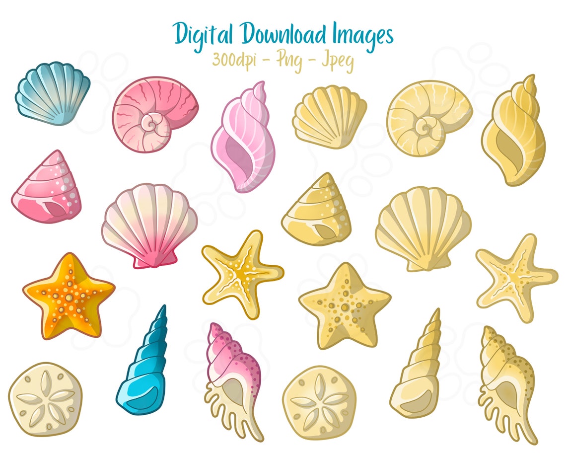 Seashells - Clipart Images - Digital Download - Etsy