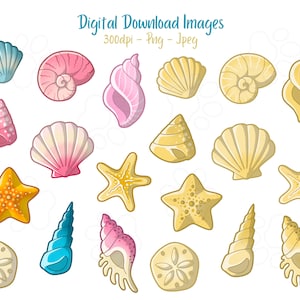 Seashells - Clipart Images - Digital Download - Etsy