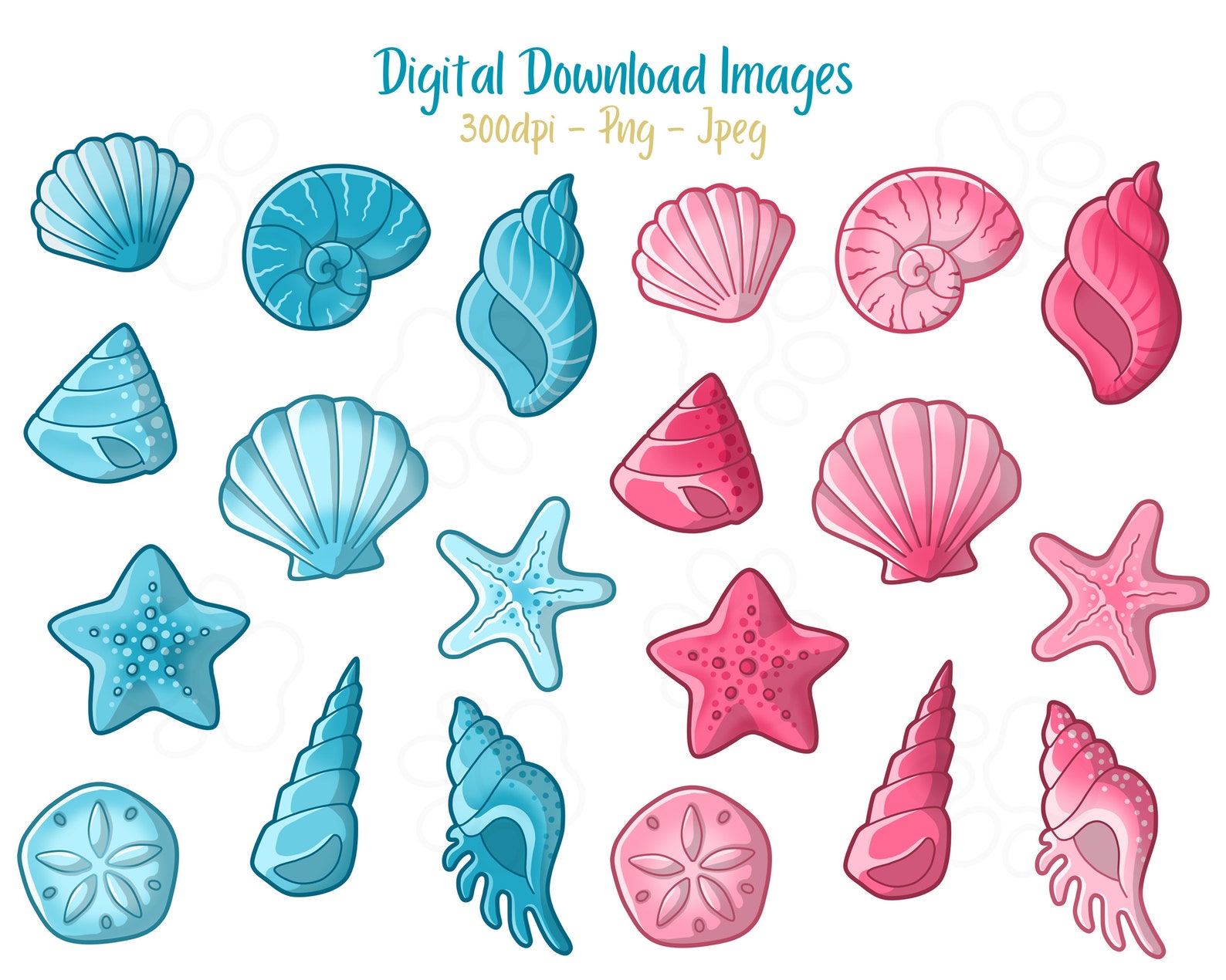 Seashells - Clipart Images - Digital Download - Etsy