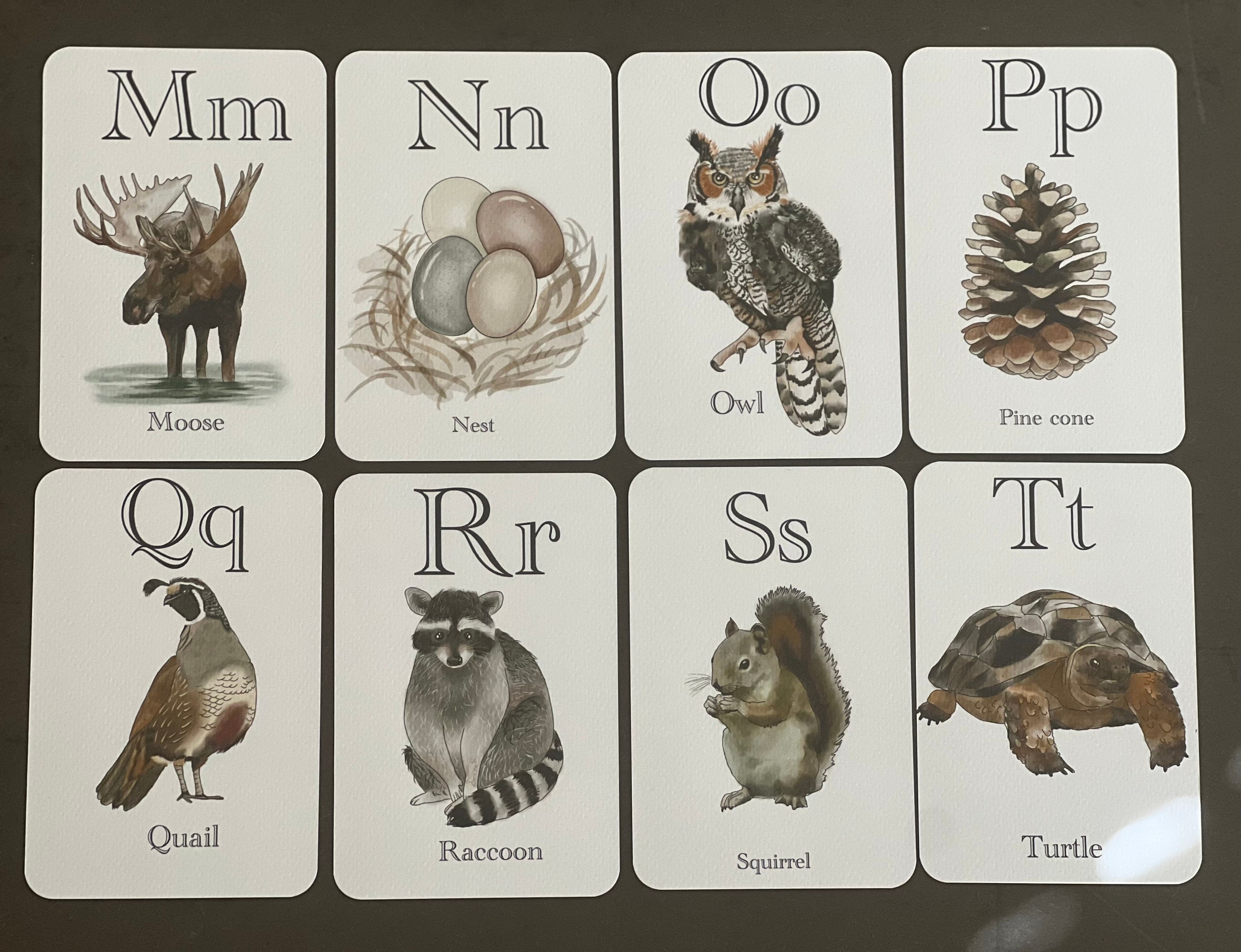 Forest Alphabet Flashcards, Forest Theme, Baby Shower Gifts, Learning ...