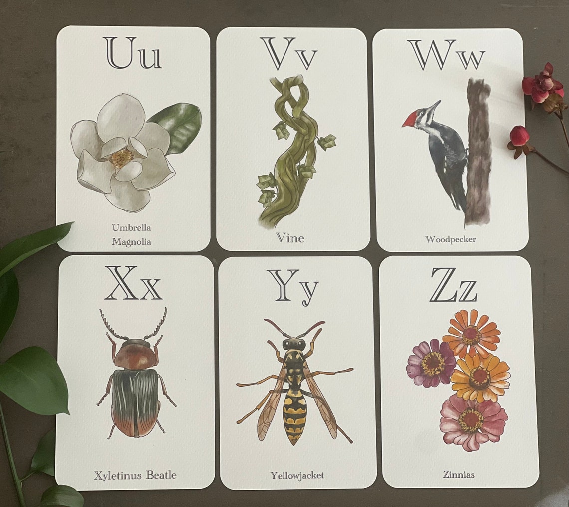 Printable Alphabet Flashcards/nature Flashcards/forest Theme/forest ...